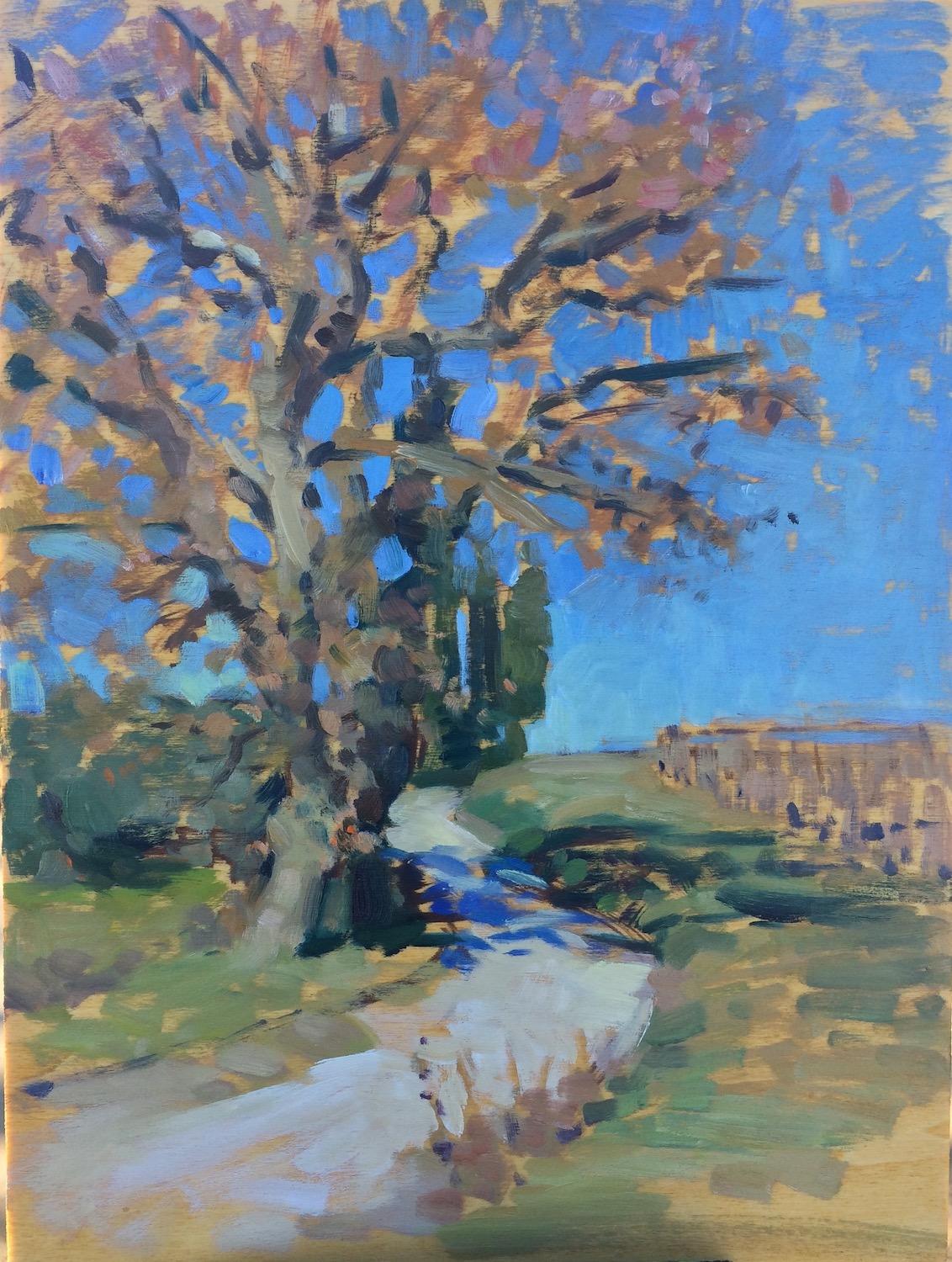 Amy Florence - Oak Tree at 1stDibs