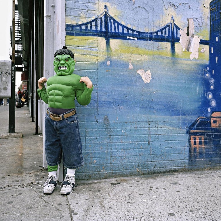 Amy Stein - Untitled (Hulk) For Sale at 1stDibs