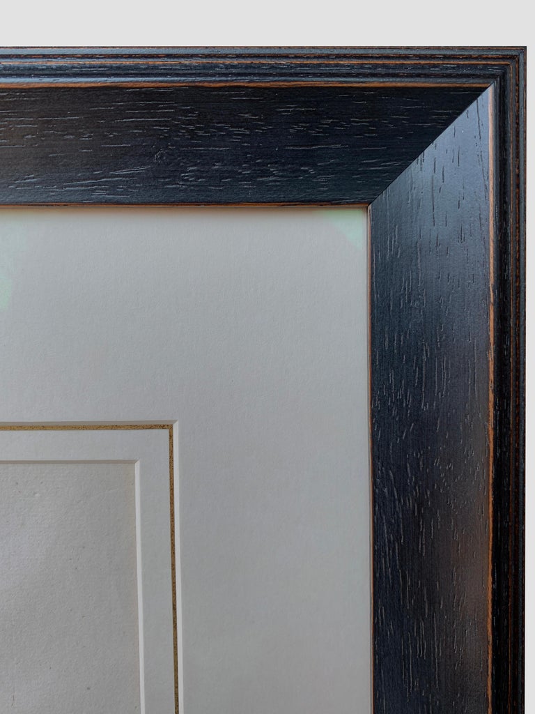 18th Century Dutch Watercolor of a Semper Augustus Tulip at 1stDibs