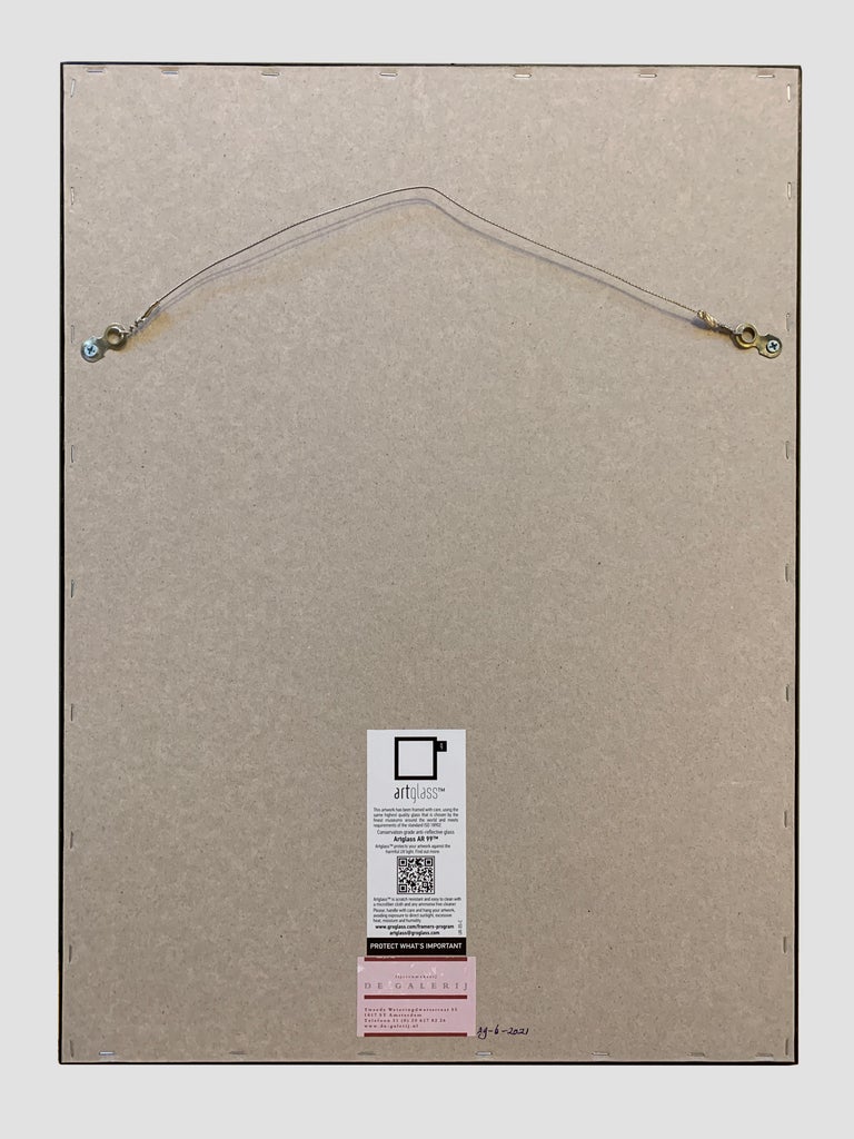 18th Century Dutch Watercolor of a Semper Augustus Tulip at 1stDibs