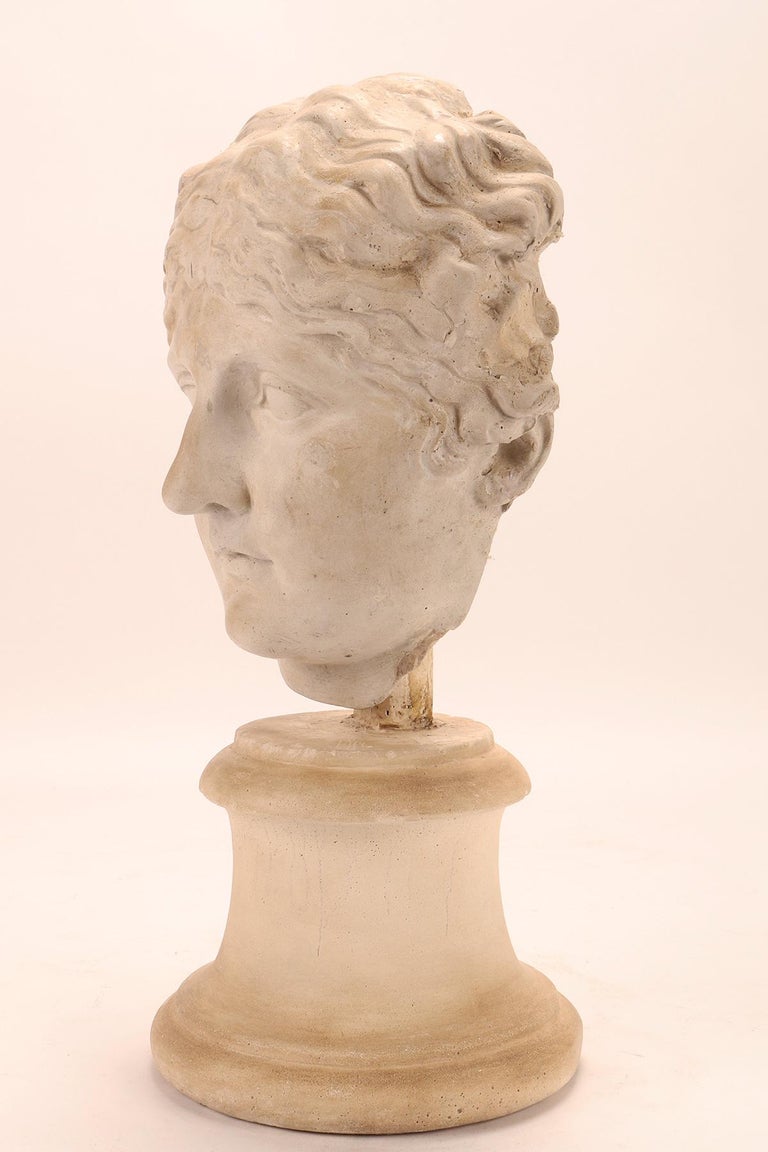 An academic cast depicting a roman women head, Italy 1890. For Sale at ...