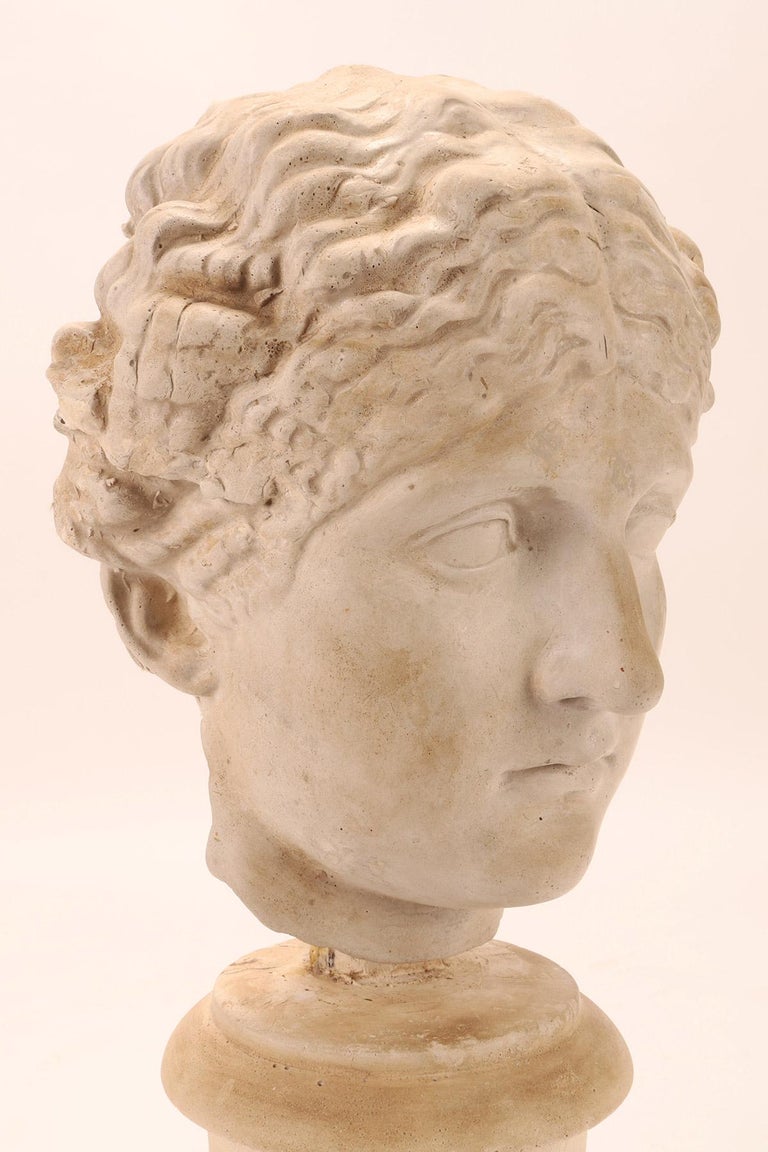 An academic cast depicting a roman women head, Italy 1890. For Sale at ...