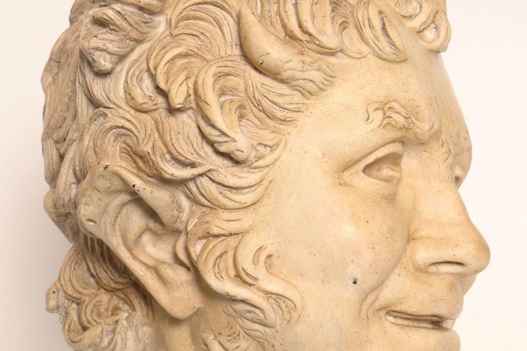 An academic cast depicting Furetti Centaur head, Italy 1890. For Sale ...