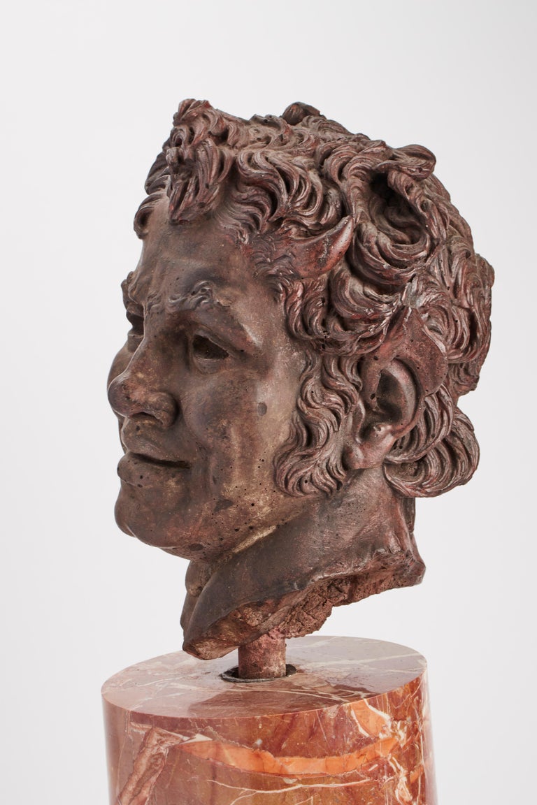 Academic Cast Depicting Furietti Centaur Head, Italy 1890 For Sale at ...
