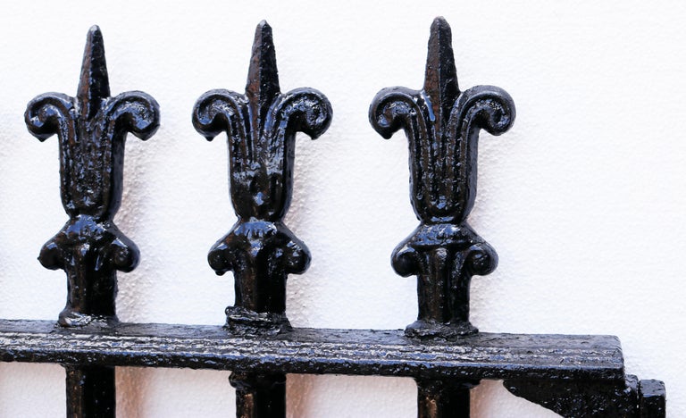 Antique Victorian Style Cast Iron Side Gate For Sale at 1stDibs