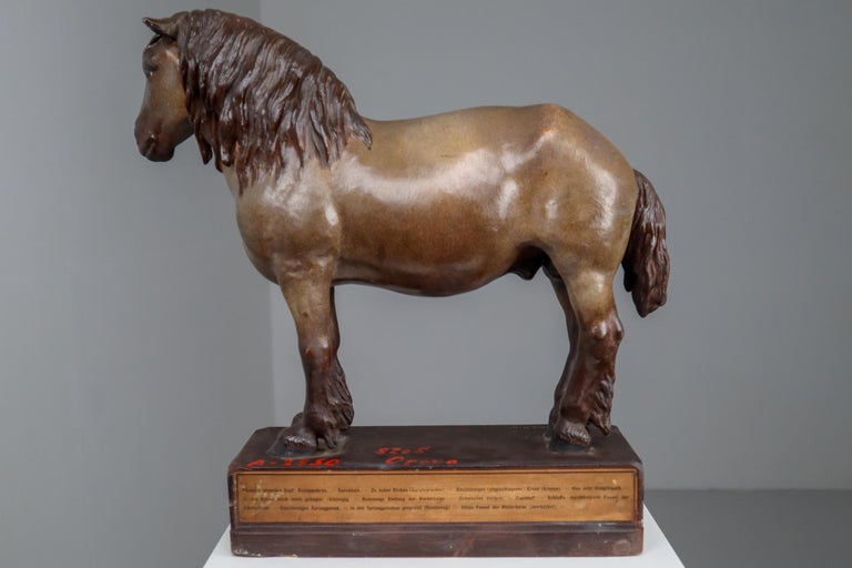 Cold Blood Horse Model in Painted Plaster by Max Landsberg, Berlin 1885 ...