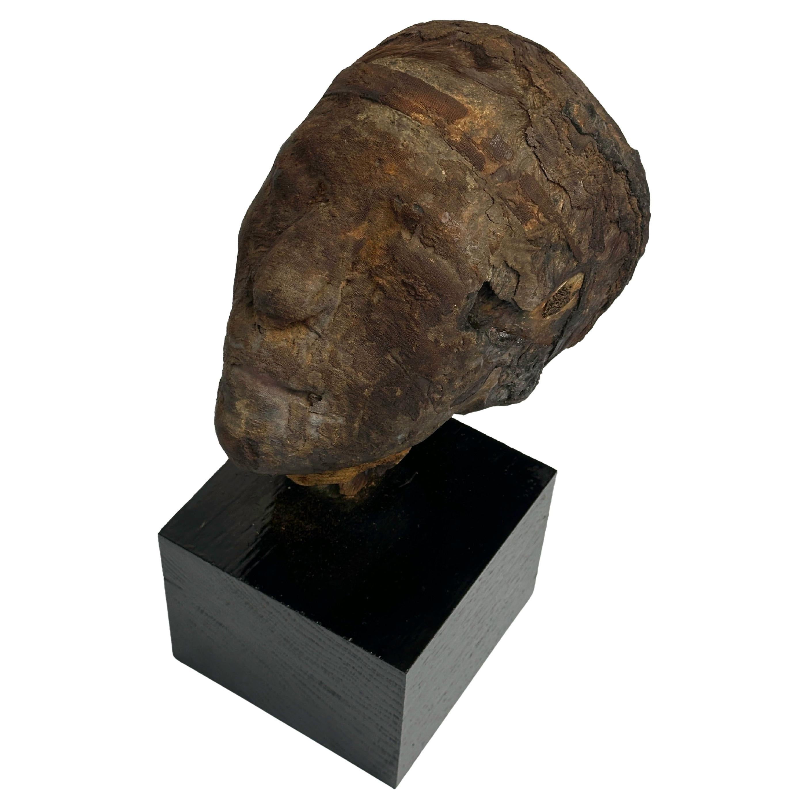 An Egyptian mummified head For Sale at 1stDibs