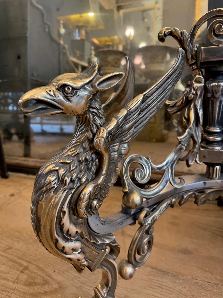 English 19th Century Antique Rococo Fire Grate at 1stDibs