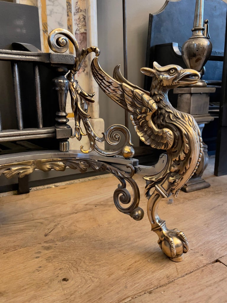 English 19th Century Antique Rococo Fire Grate at 1stDibs