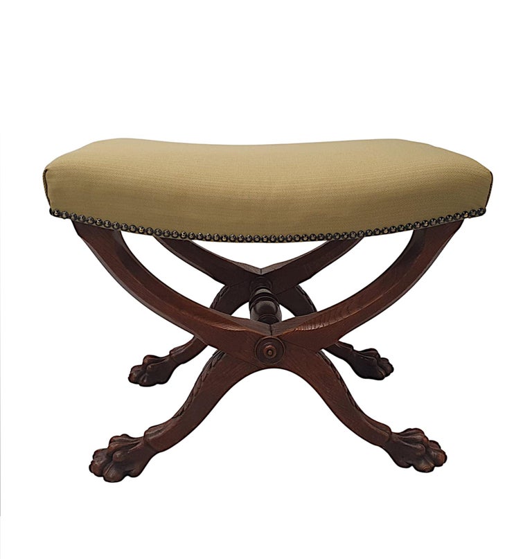 Exceptional and Rare 19th Century Irish X Framed Stool For Sale at 1stDibs