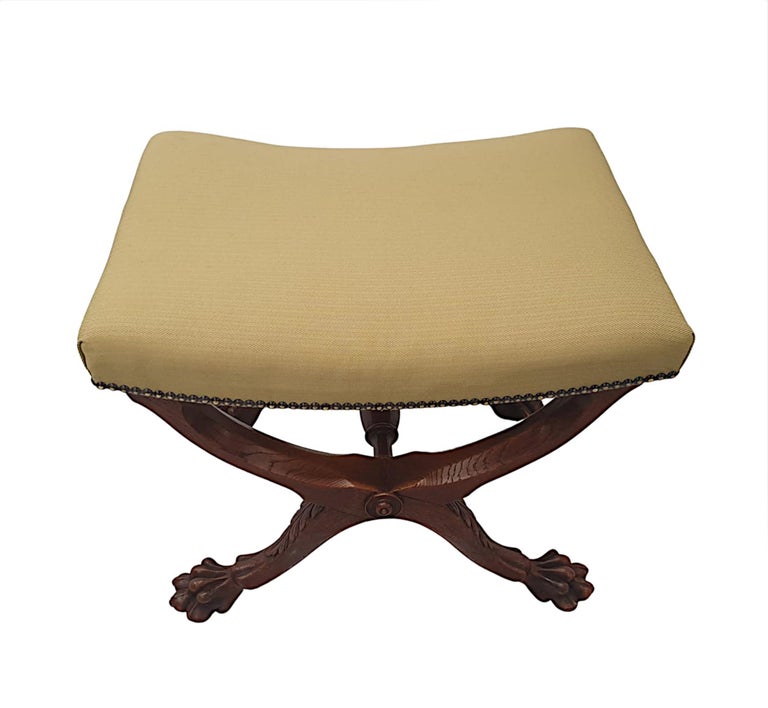 Exceptional and Rare 19th Century Irish X Framed Stool For Sale at 1stDibs