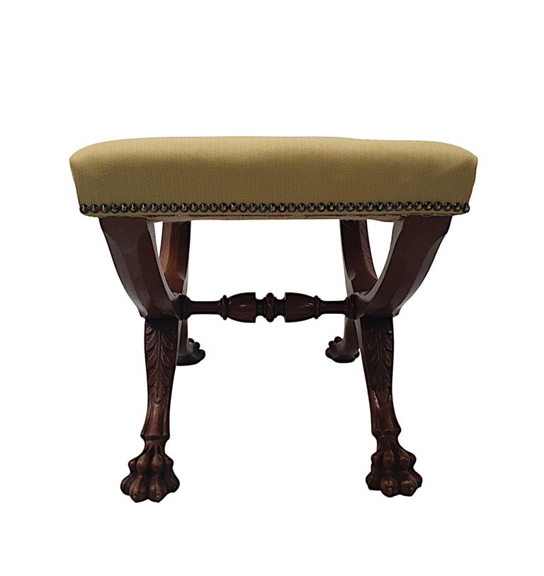 Exceptional and Rare 19th Century Irish X Framed Stool For Sale at 1stDibs