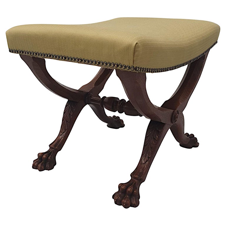 Exceptional and Rare 19th Century Irish X Framed Stool For Sale at 1stDibs