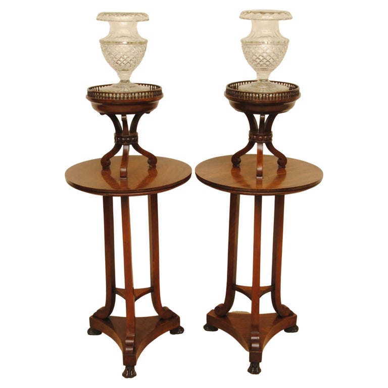 Unusual and Smart Pair of Regency Mahogany Stands For Sale at 1stDibs