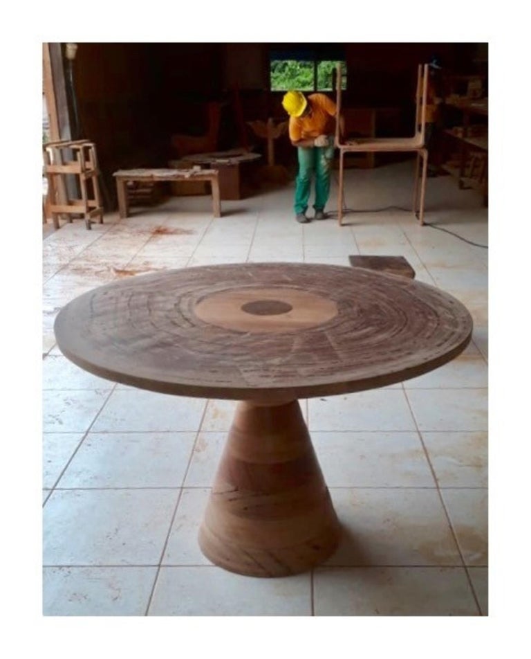 Anambé Amazonian Brazilian Unique Rare Wood Dining Table For Sale at ...