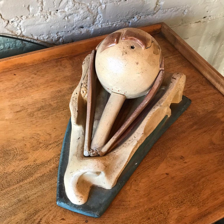 Anatomical Eye Model by New York Scientific Supply Co. For Sale at 1stDibs