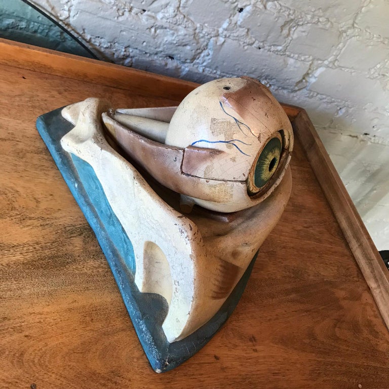 Anatomical Eye Model by New York Scientific Supply Co. For Sale at 1stDibs