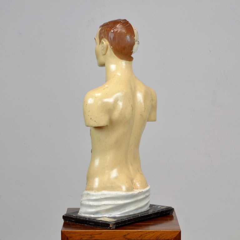 Anatomical Model, 1940s at 1stDibs