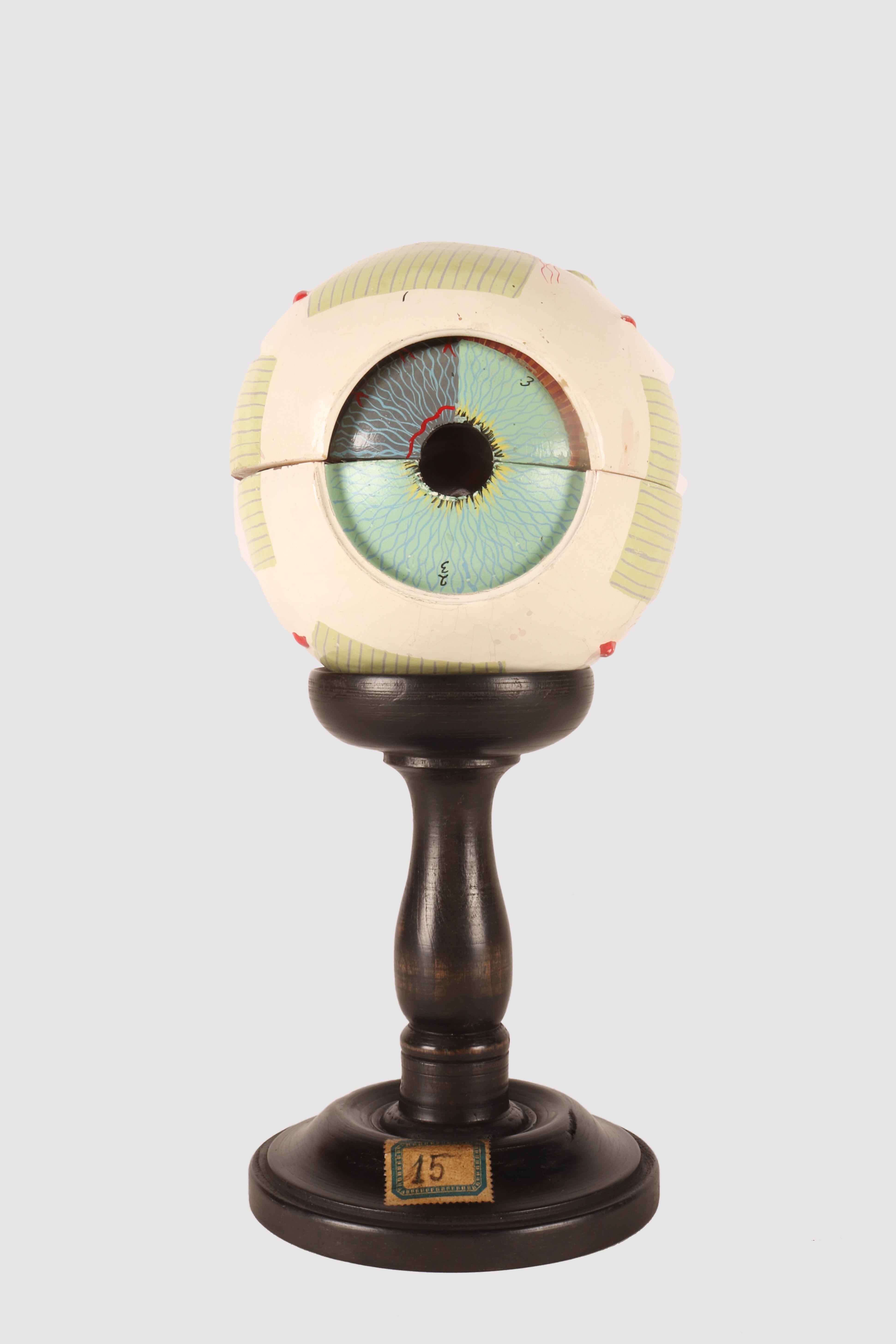 Anatomical model: a decomposable eyeball, SOMSO, Germany circa 1930 ...