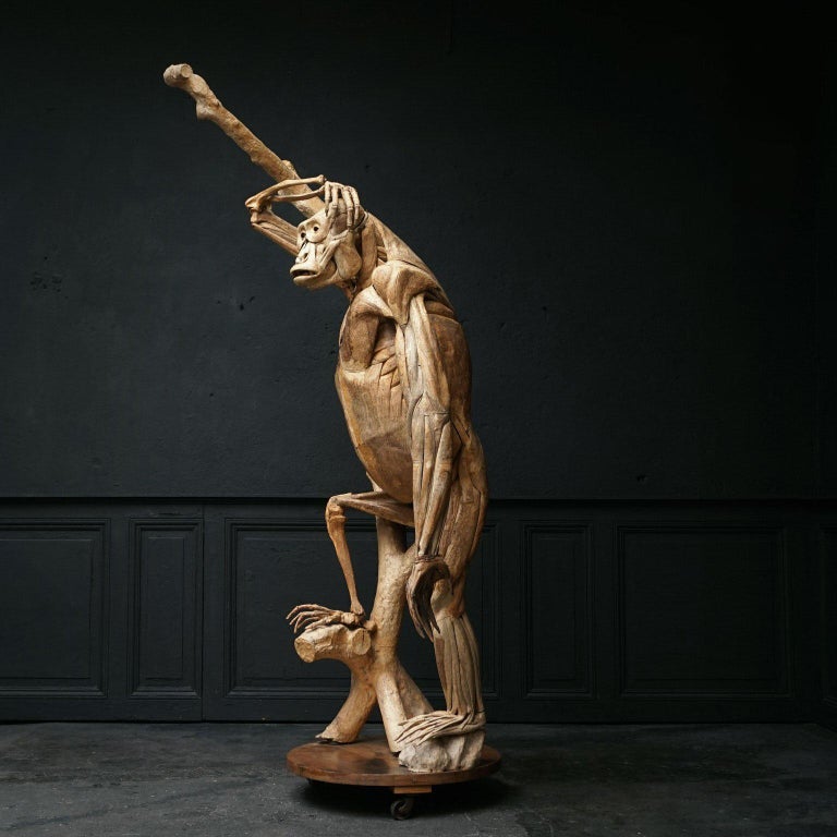 Anatomical Model of Gorilla by Dr. Louis Auzoux Plus Unique Handwritten ...