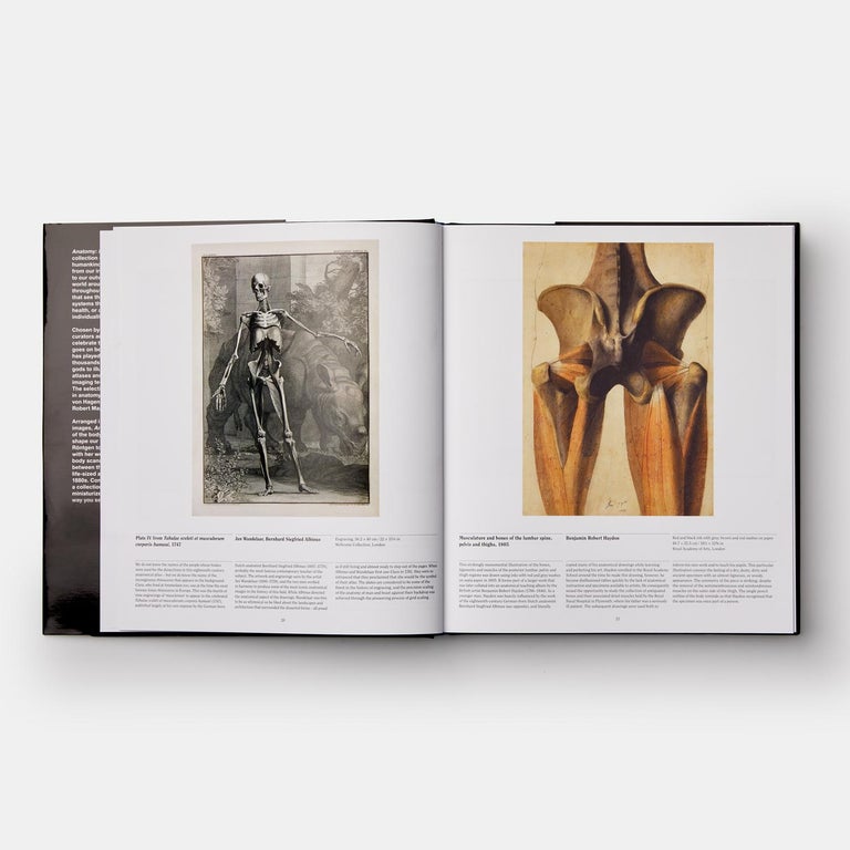 Anatomy Exploring the Human Body For Sale at 1stDibs