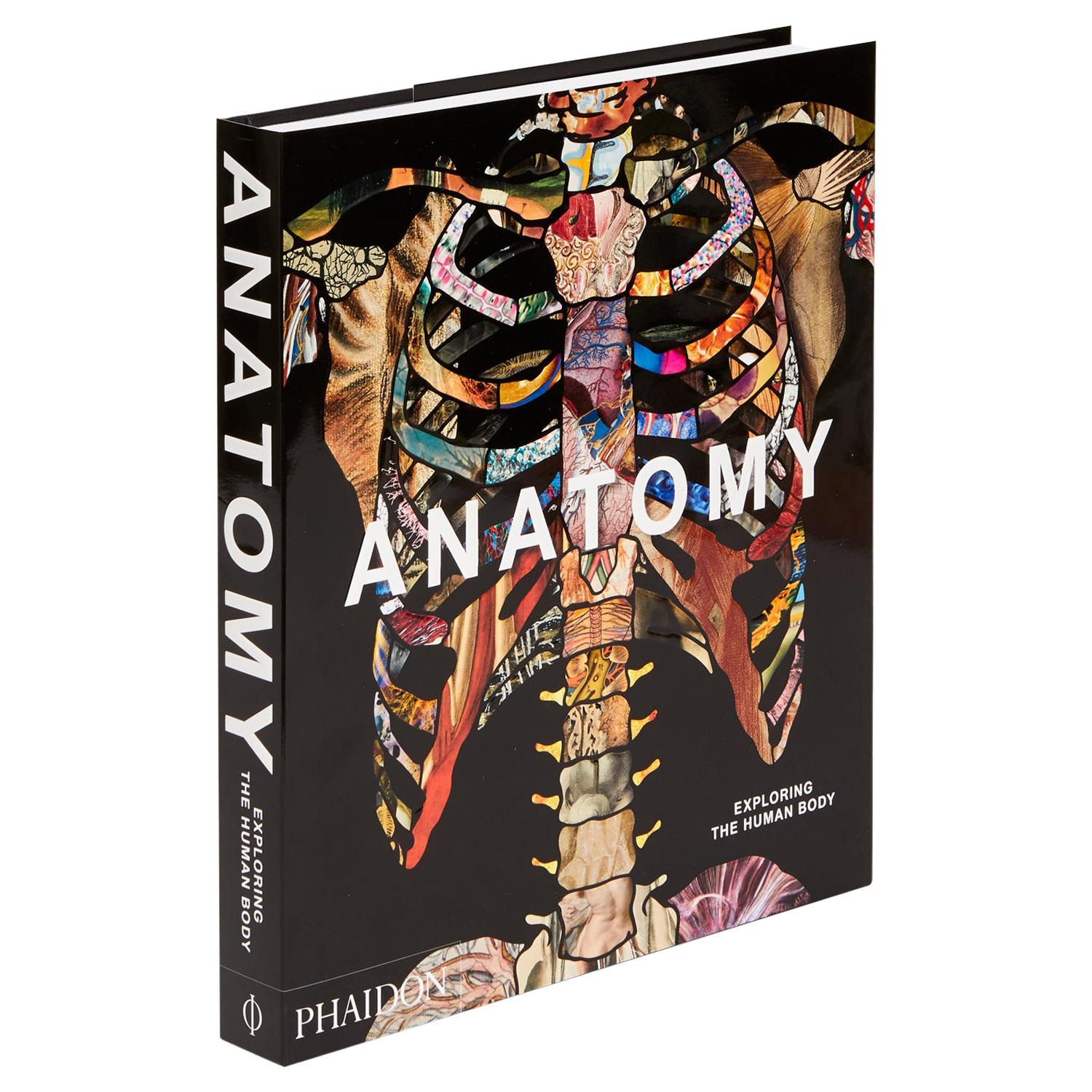 Anatomy Exploring the Human Body For Sale at 1stDibs