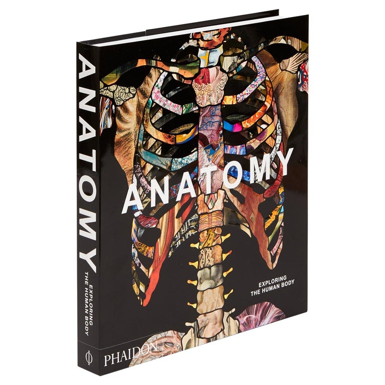 Anatomy Exploring the Human Body For Sale at 1stDibs