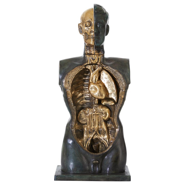 Anatomy Sculpture in Bronze and Gilded Details For Sale at 1stdibs