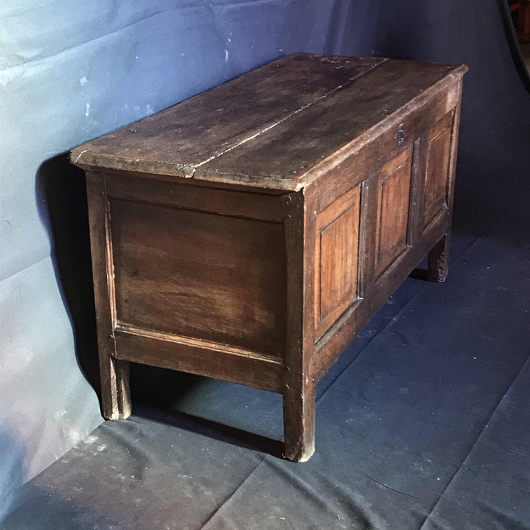 Ancient Antique English Paneled Oak Coffer Blanket Chest at 1stDibs