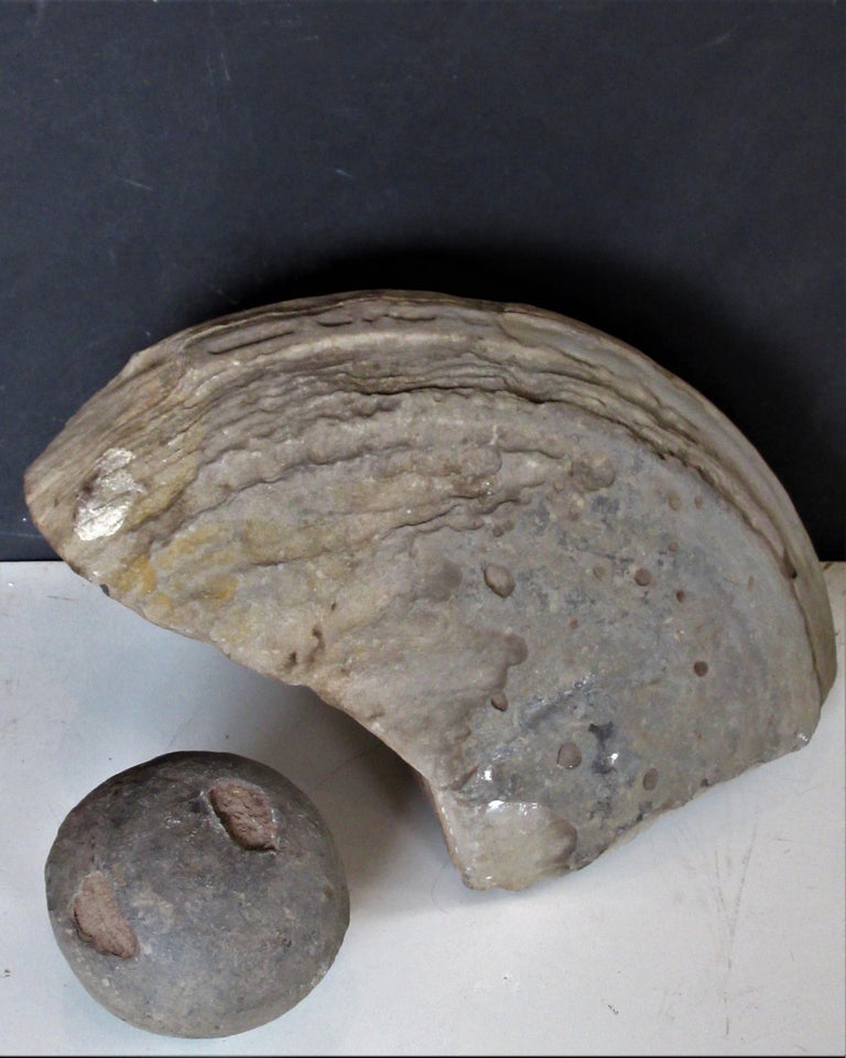 Ancient Concretion Geological Specimen at 1stdibs