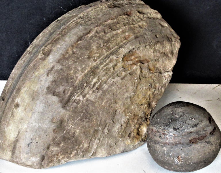 Ancient Concretion Geological Specimen at 1stdibs