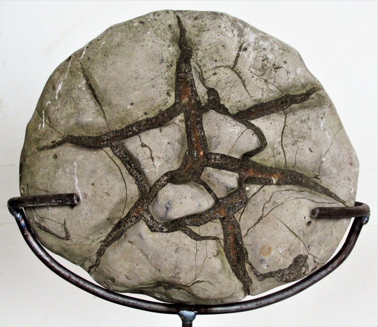 Ancient Concretion, Turtle Stones, Natural History Mounted Specimens at ...