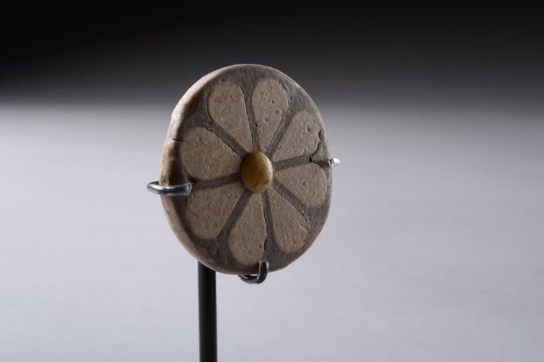 Ancient Egyptian Faience Daisy Flower Rosettes, 1550 BC at 1stDibs