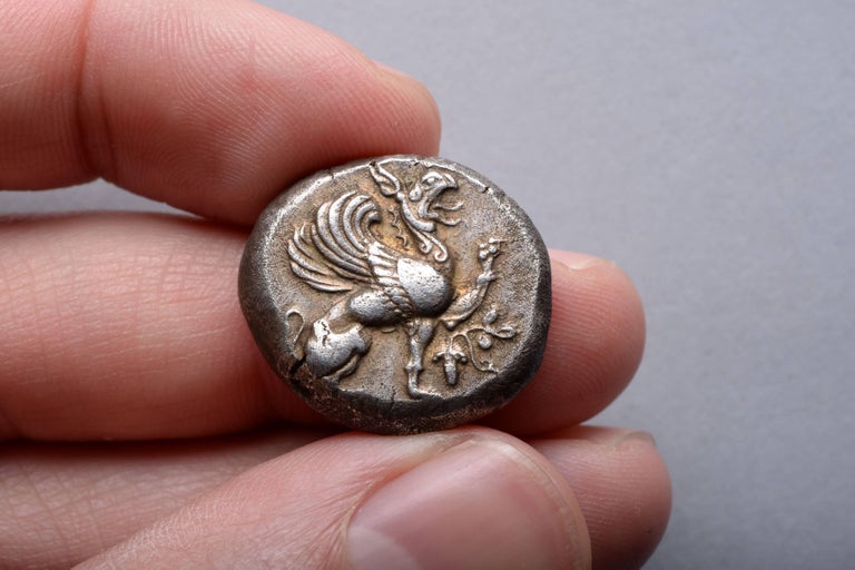 Ancient Greek Silver Griffin Stater Coin from Teos, 510 BC at 1stDibs