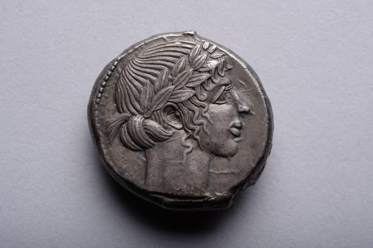 Ancient Greek Silver Lion Tetradrachm Coin from Leontini, 450 BC at ...