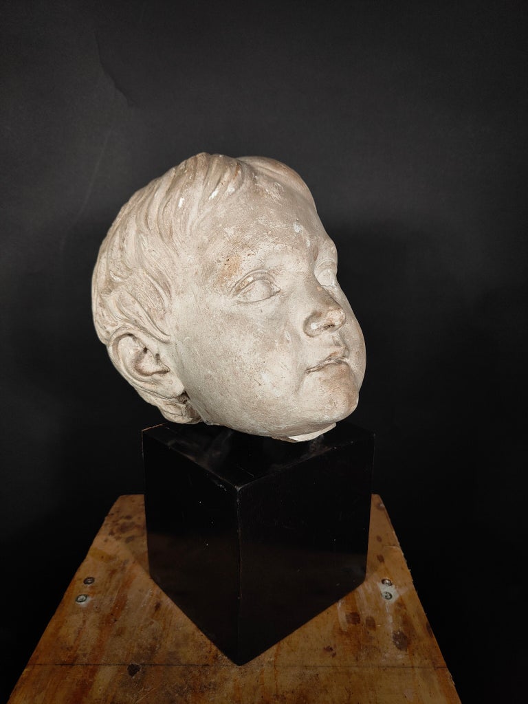 Ancient Italian Head in Plaster 19th Century For Sale at 1stDibs