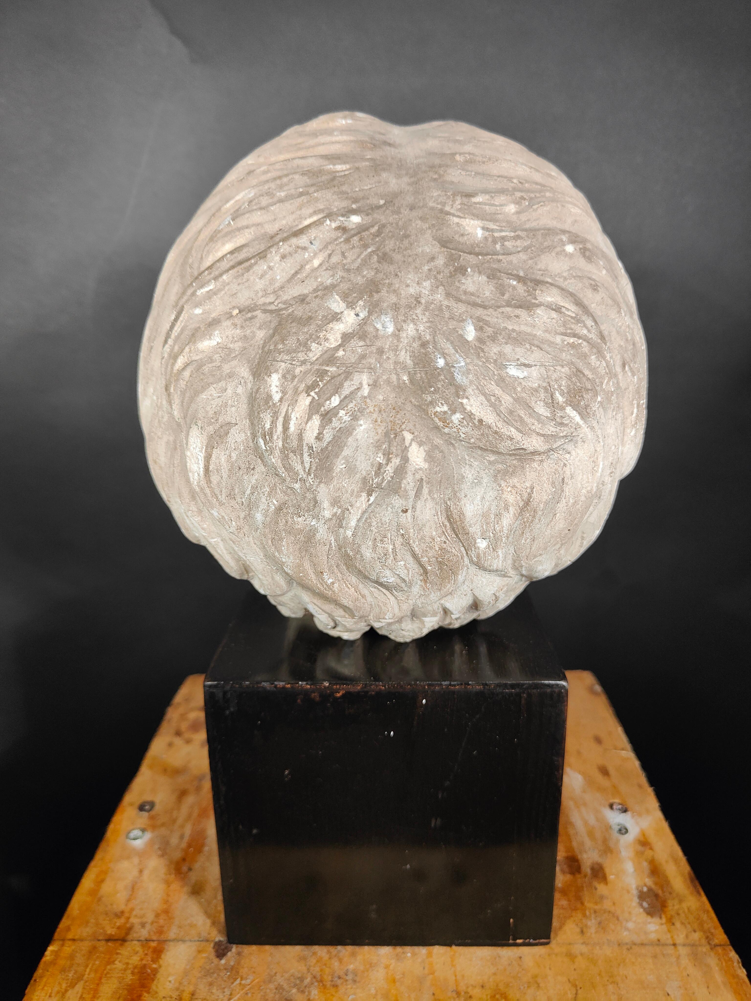 Ancient Italian Head in Plaster 19th Century For Sale at 1stDibs