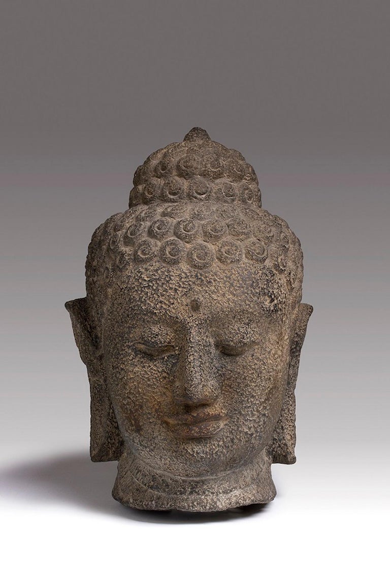 Ancient Javanese Head of Buddha at 1stDibs | buddha head stone ...