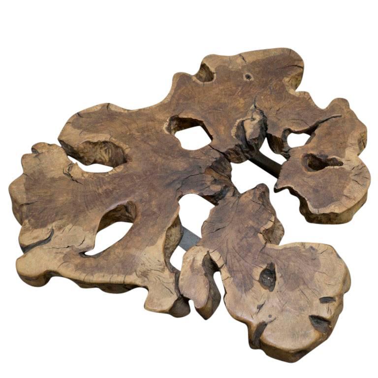 Ancient Olive Tree Table at 1stDibs