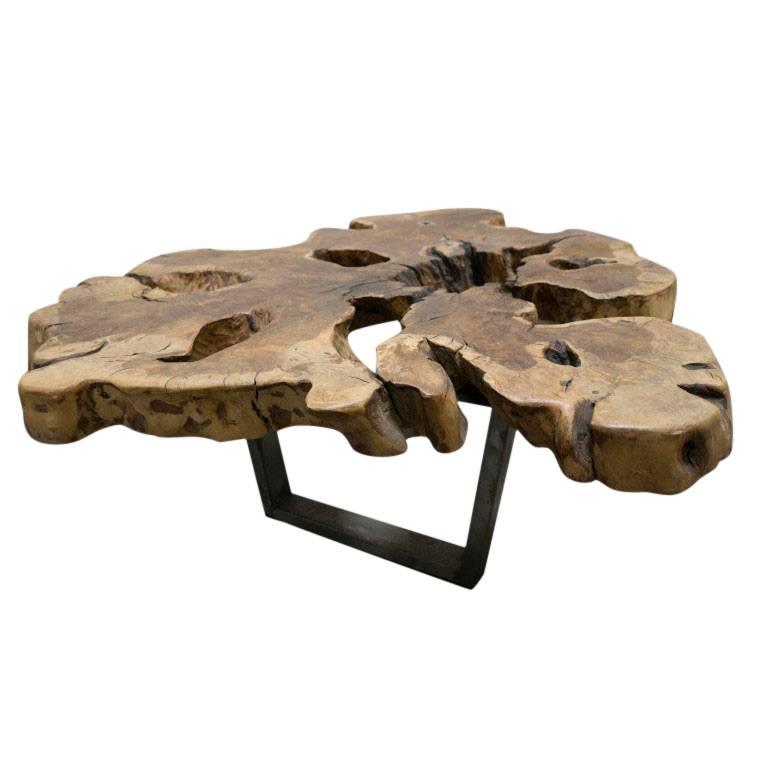 Ancient Olive Tree Table at 1stDibs