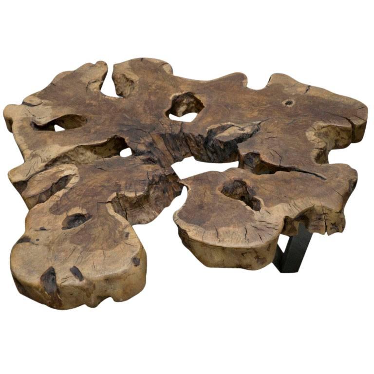 Ancient Olive Tree Table at 1stDibs