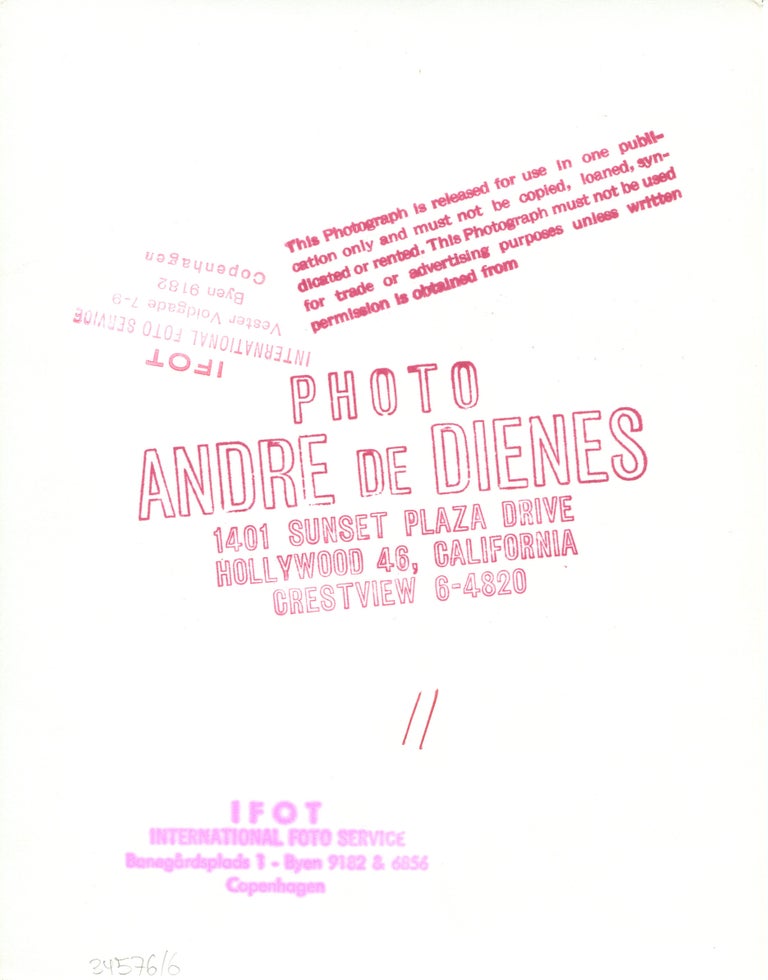 Andre De Dienes Nude For Sale At 1stdibs