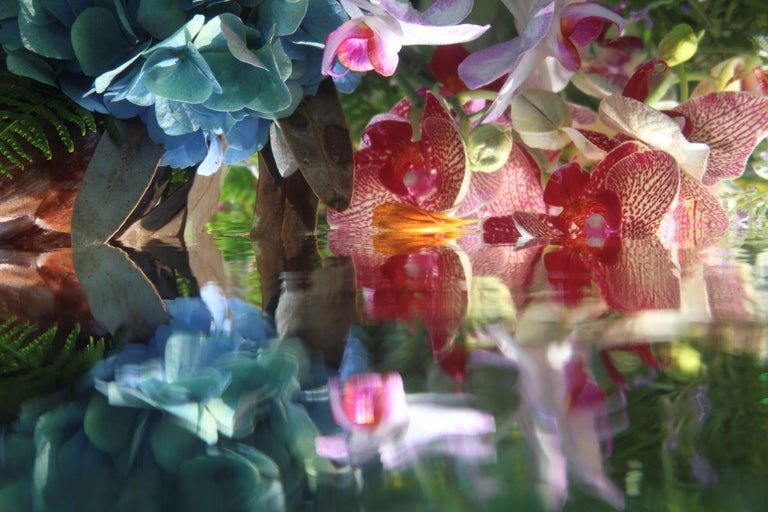 Andrea Bonfils - Submerged Garden 4501 (30" x 45") For Sale at 1stDibs