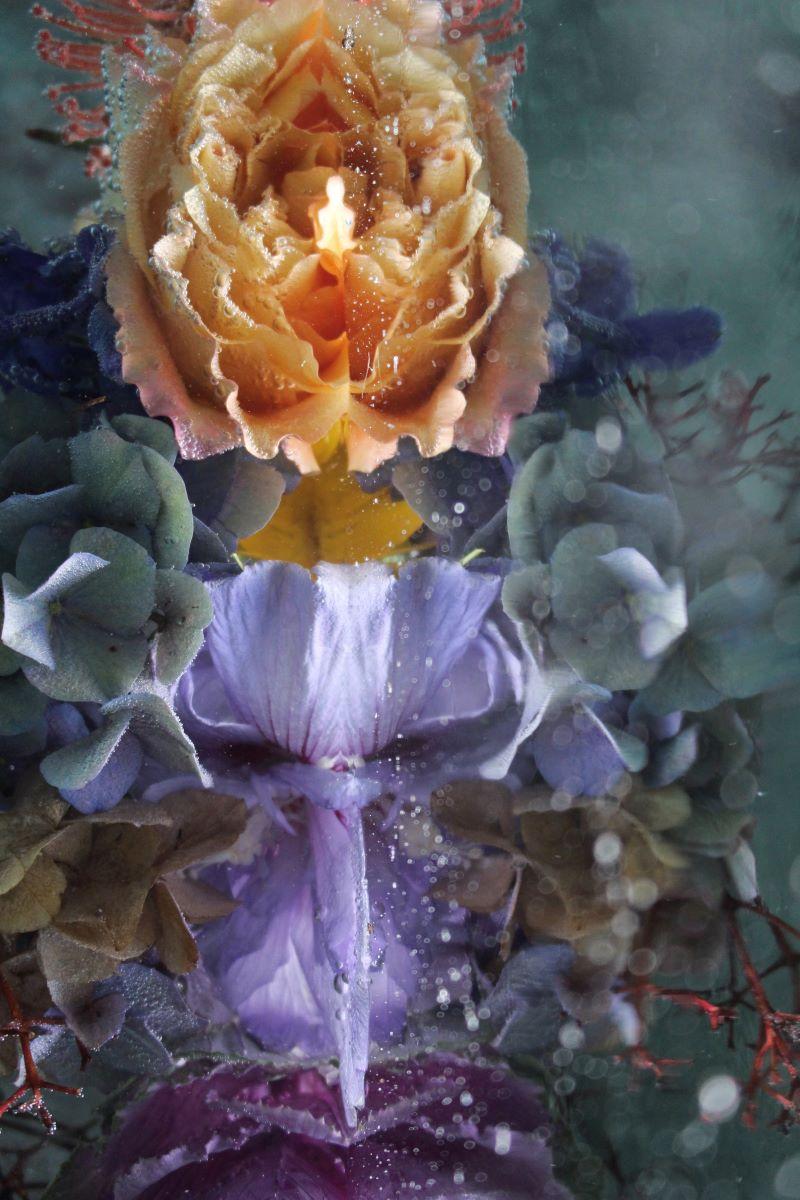 Portia Munson 1 - Flower Mandala Baroque Photo Contemporary Feminist ...