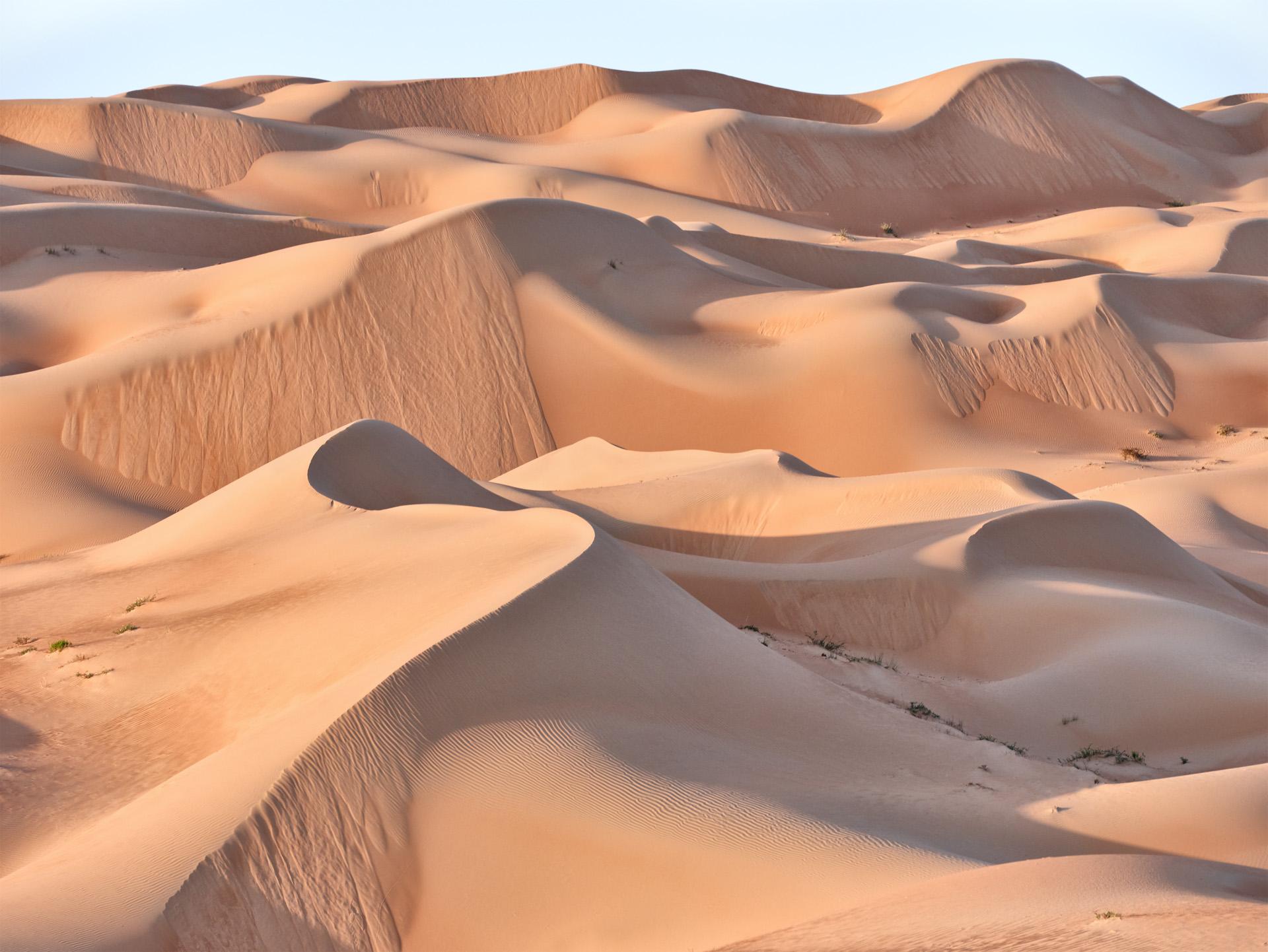 Andrew Prokos - Dunescape #10. Liwa Desert. UAE. Photography by Andrew ...