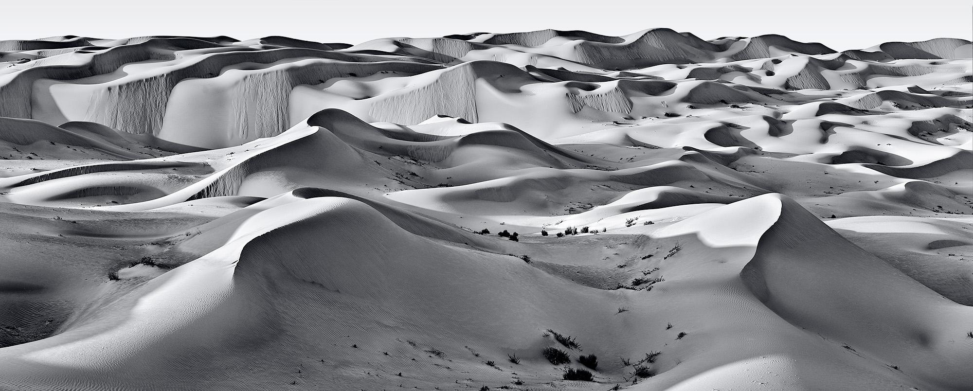 Andrew Prokos - Dunescape #10. Liwa Desert. UAE. Photography by Andrew ...