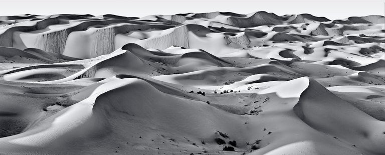 Andrew Prokos - Dunescape #11. Liwa Desert. UAE. Photography by Andrew ...