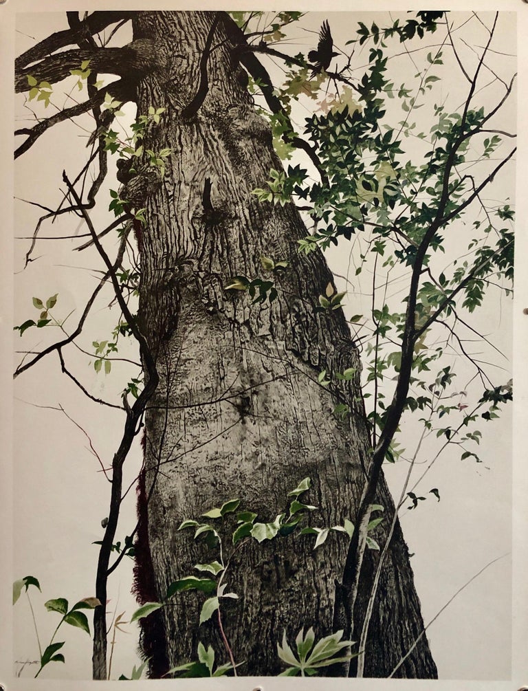 Andrew Wyeth - Rare Andrew Wyeth 1956 Collotype Print from Signed ...