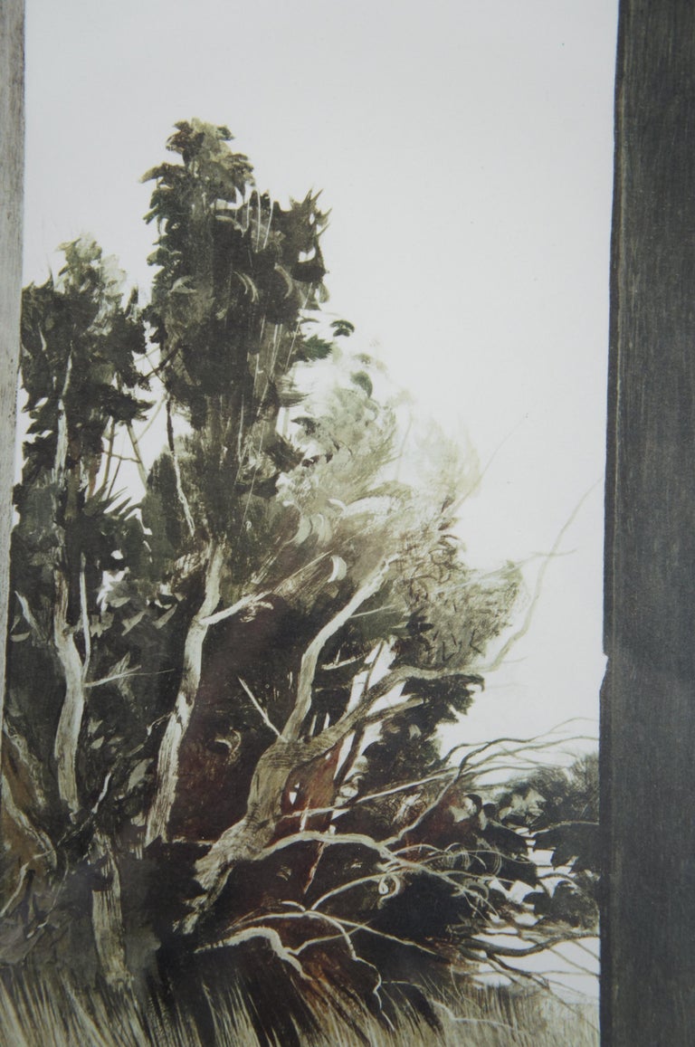 Andrew Wyeth "Christina Olson" Collotype Print 1956 Realism Woman ...