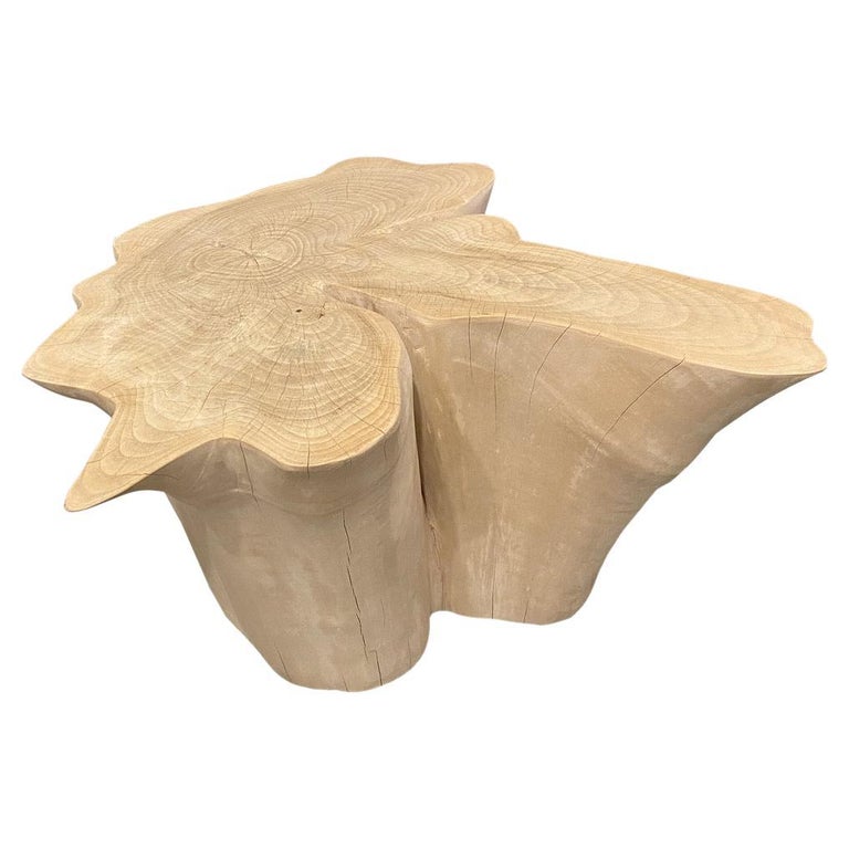 Andrianna Shamaris Amorphous Bleached Teak Wood Coffee Table at 1stDibs